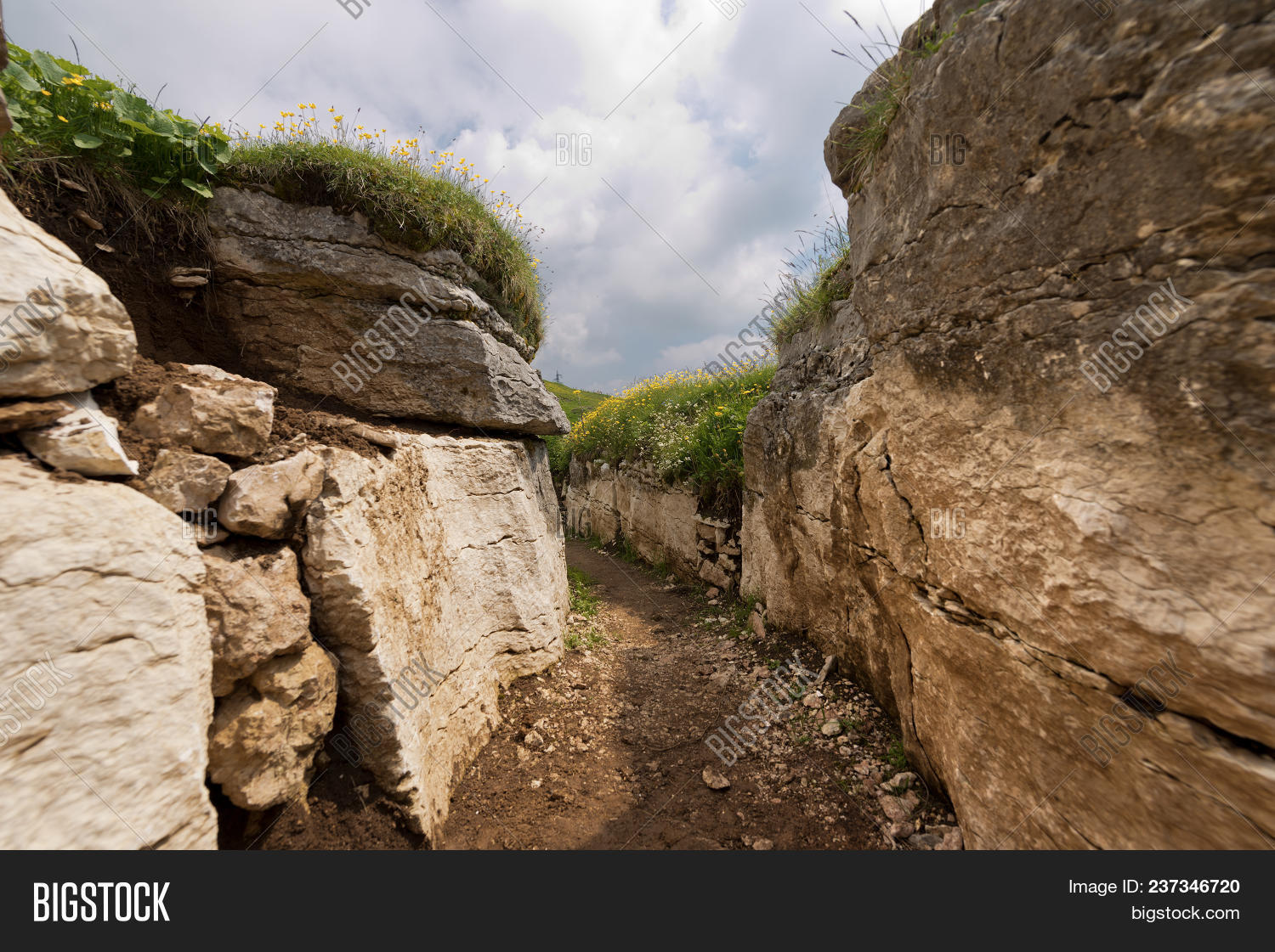 Ancient Natural Image & Photo (Free Trial) | Bigstock