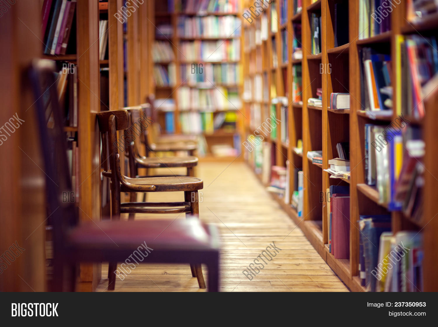 Library Rows Books On Image & Photo (Free Trial) | Bigstock