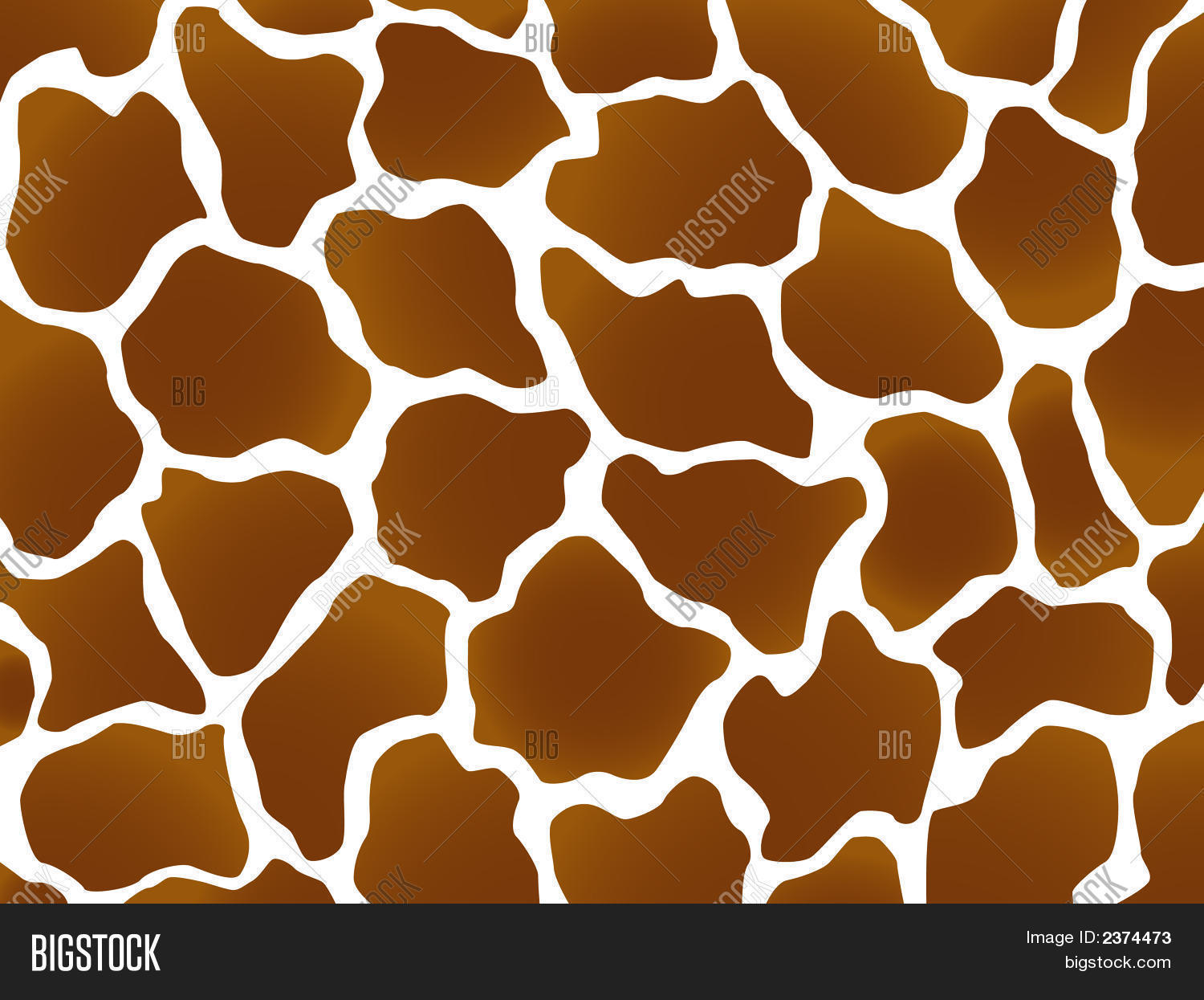 Ziraf Image & Photo (Free Trial) | Bigstock