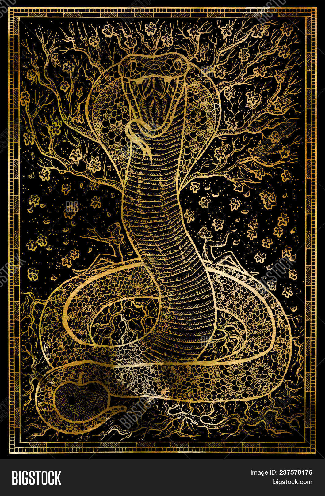 Snake Symbol Eve, Adam Image & Photo (Free Trial) | Bigstock