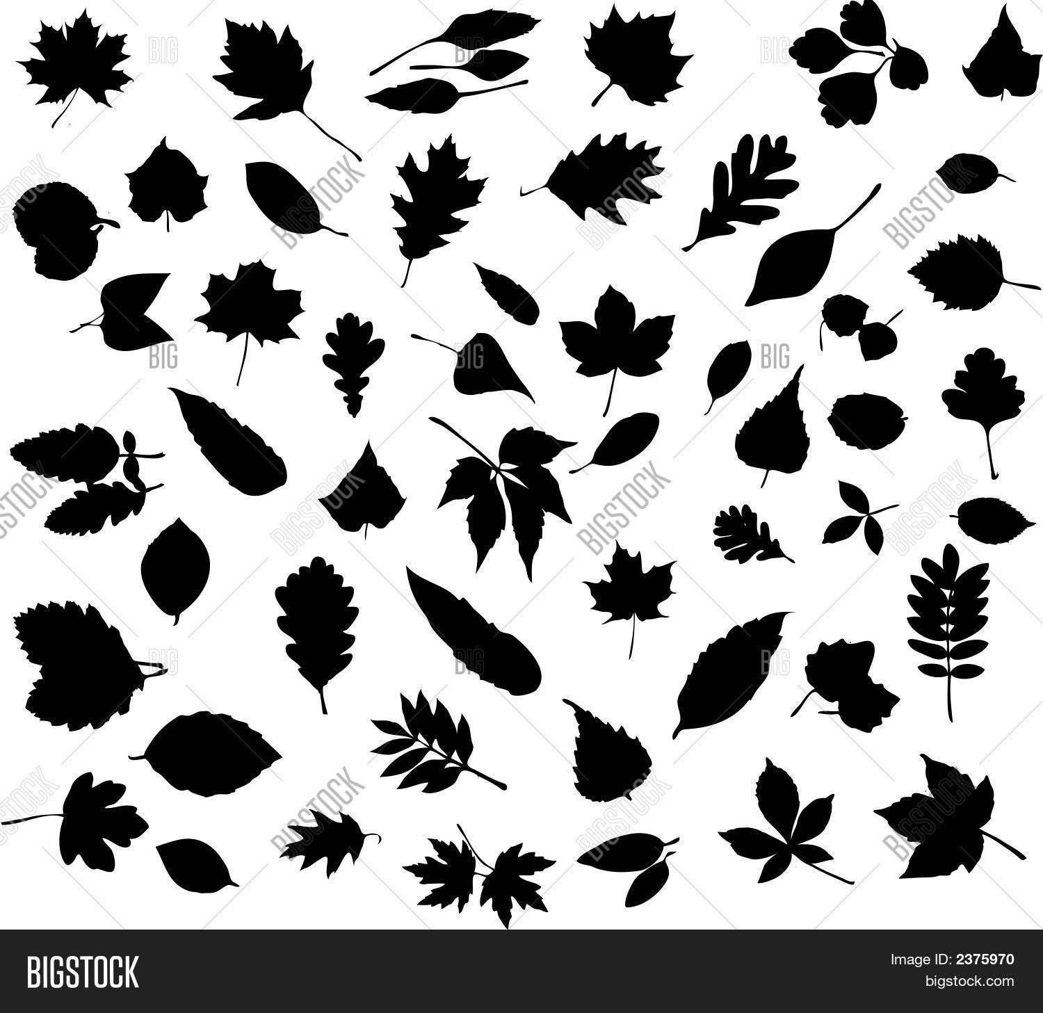 Blaadjes Vector & Photo (Free Trial) | Bigstock