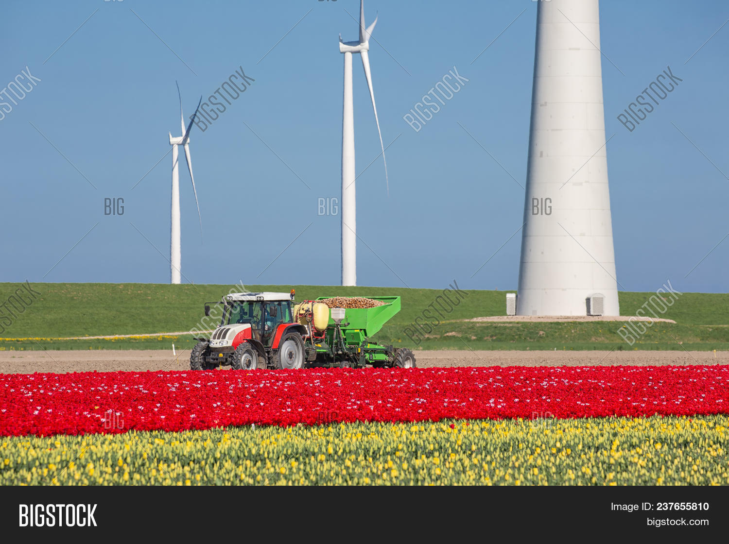 Dutch Farmland Tractor Image & Photo (Free Trial) | Bigstock