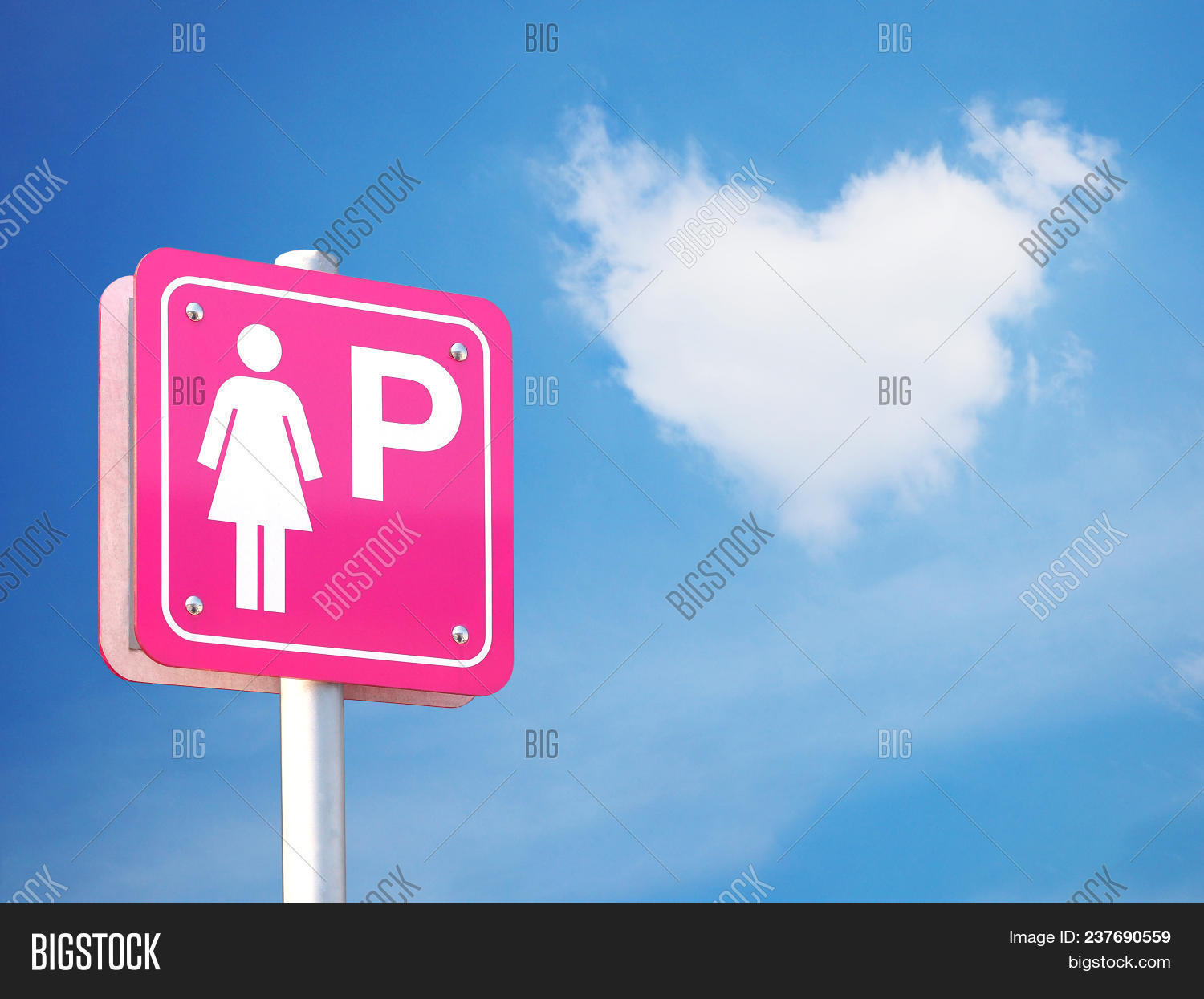 Pink Lady Parking Sign Image & Photo (Free Trial) | Bigstock