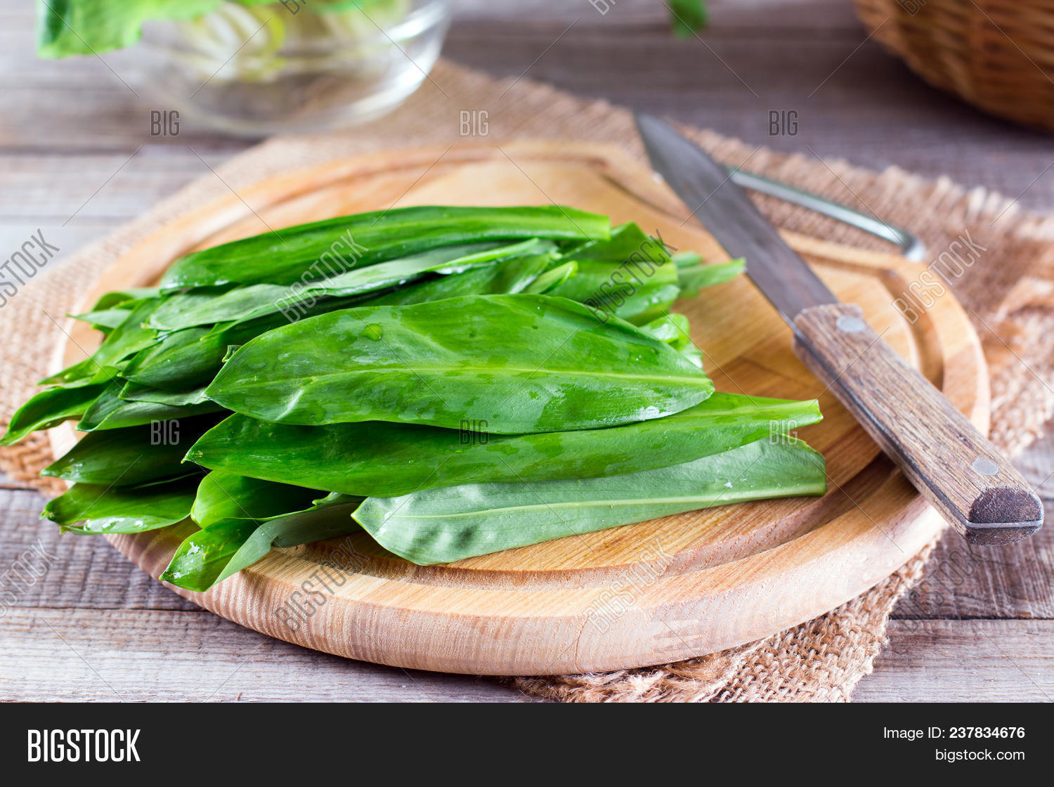 Leaves Ramson Wild Image & Photo (Free Trial) | Bigstock