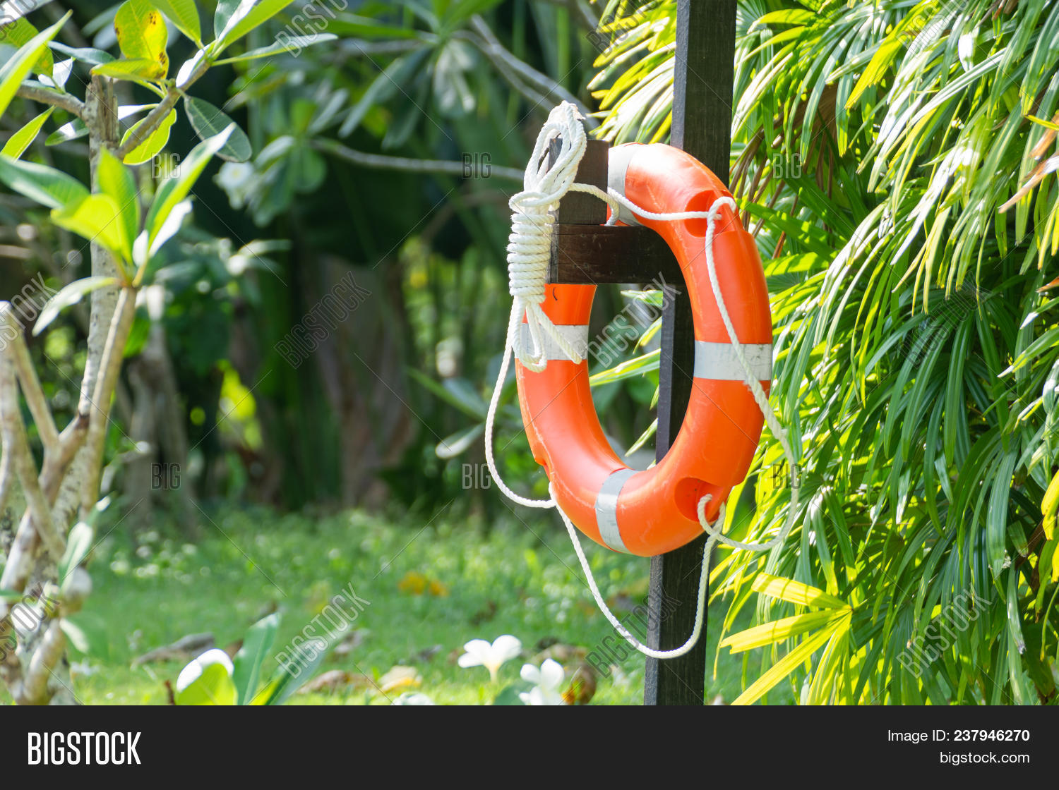 Ring Buoy Line Life Image & Photo (Free Trial) | Bigstock