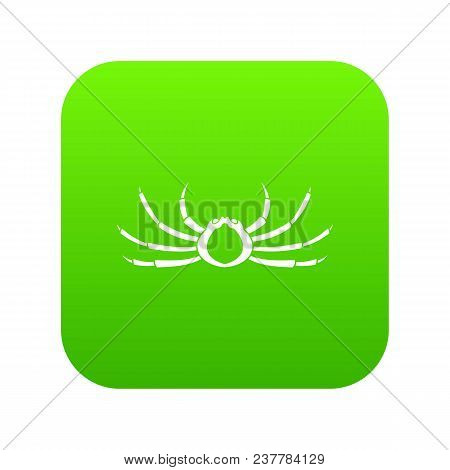 Japanese Spider Crab Vector & Photo (Free Trial) | Bigstock