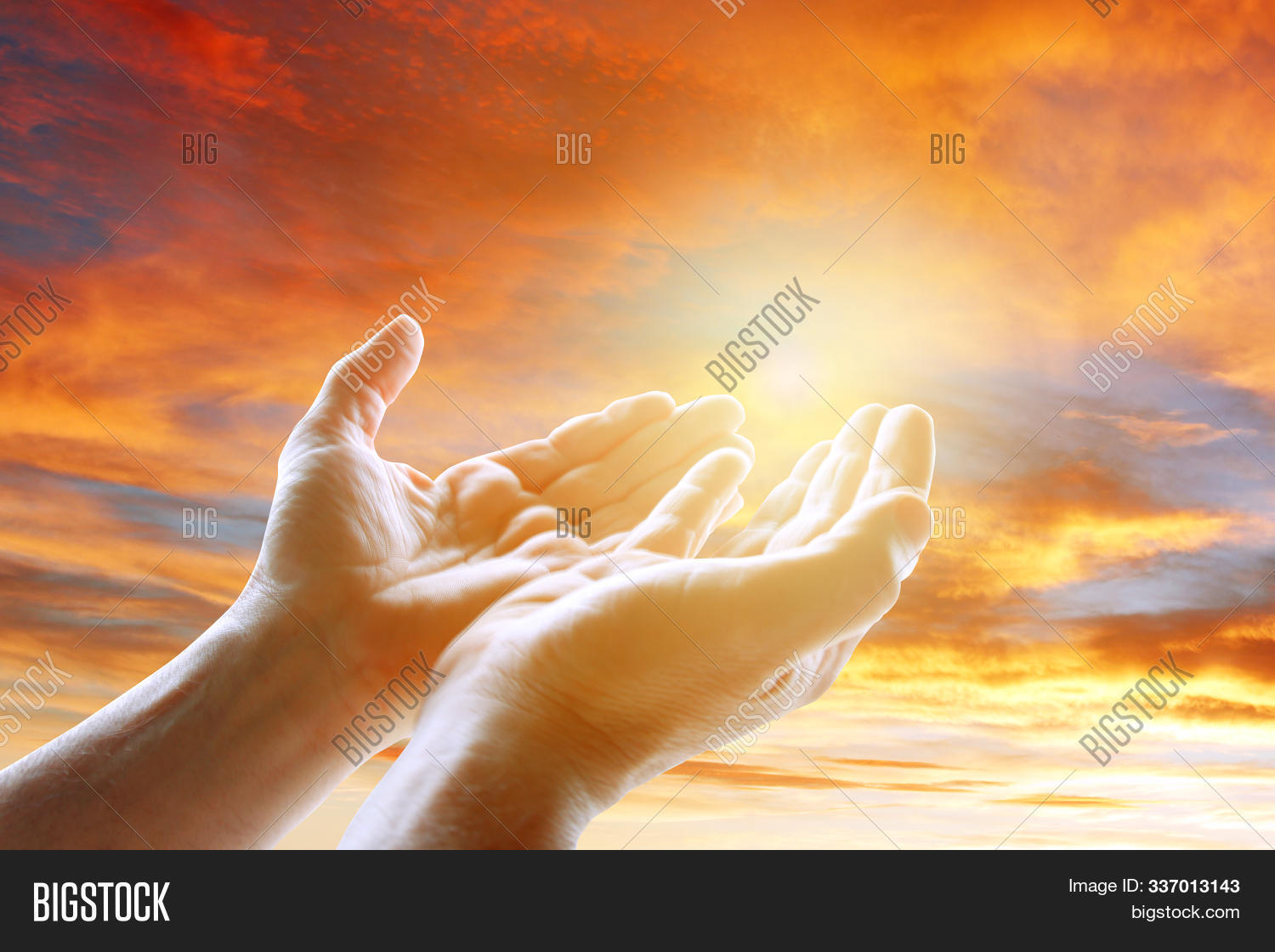 Hands Reaching For The Sky