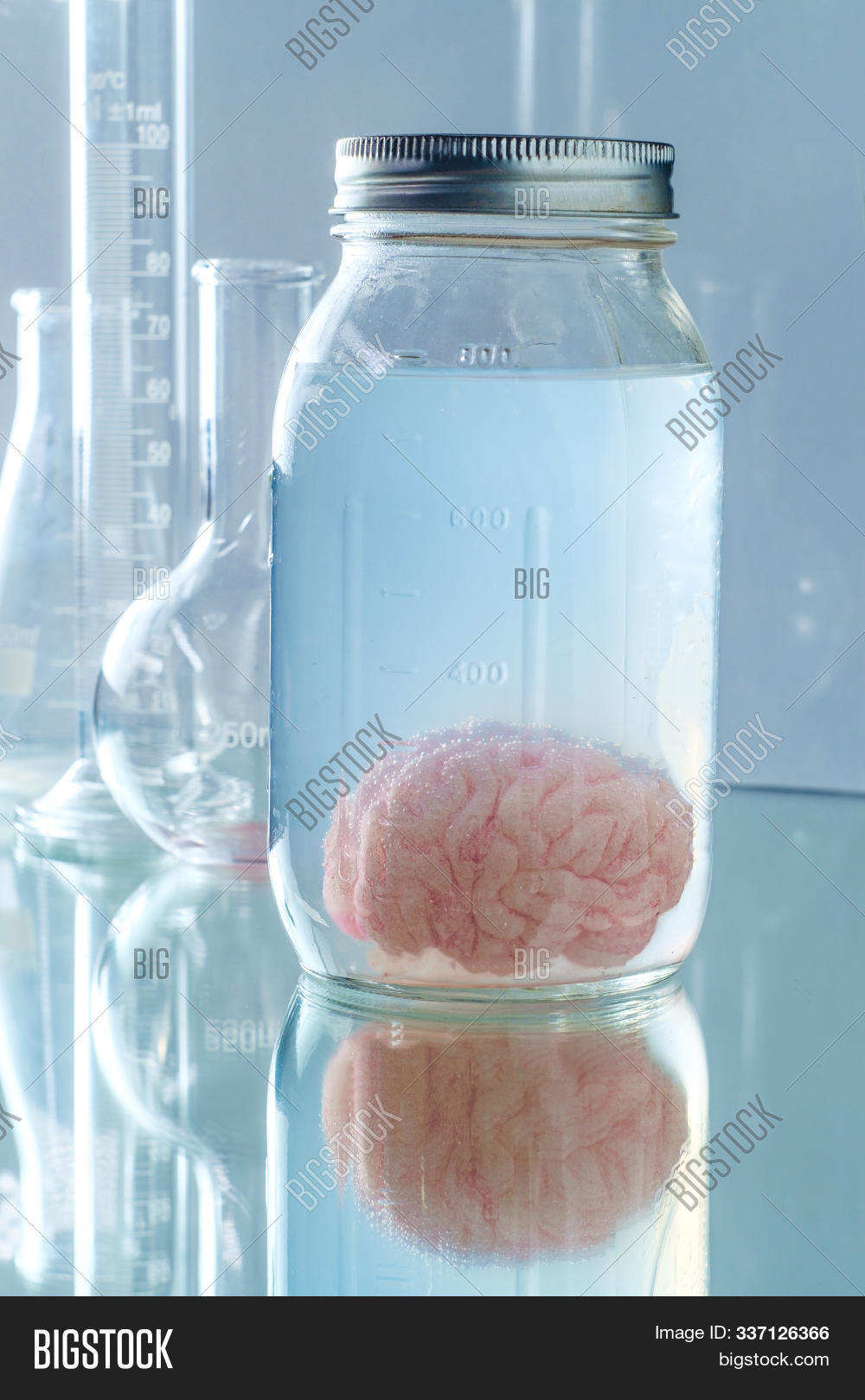 Formaldehyde Brain