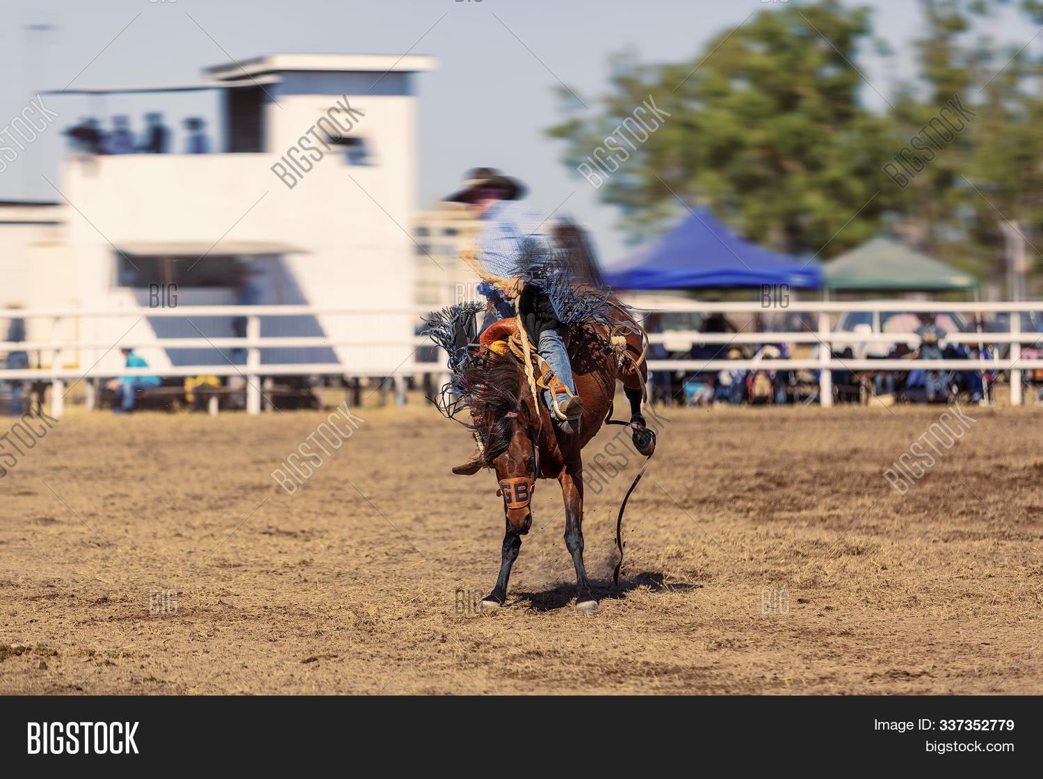 Cowboy Rides Bucking Image & Photo (Free Trial) | Bigstock