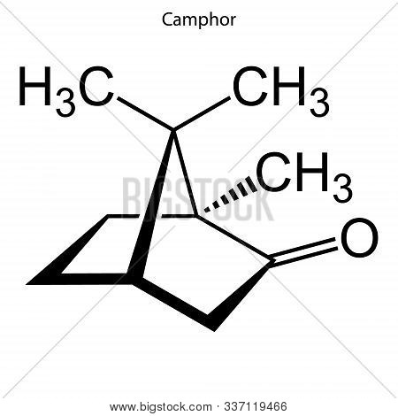 เวกเตอร์และภาพถ่าย (ทดลองใช้ฟรี) | Bigstock