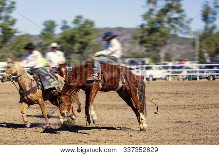 Cowboy Rides Bucking Image & Photo (Free Trial) | Bigstock