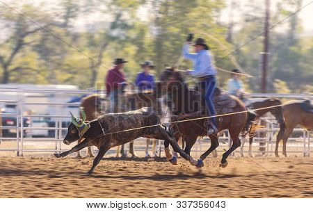 Rodeo - Calf Roping Image & Photo (Free Trial) | Bigstock