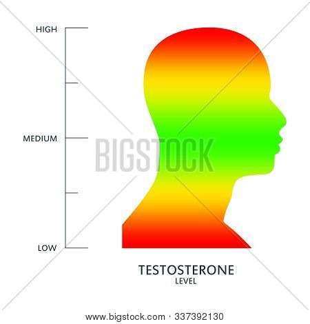 Hormone Testosterone Vector & Photo (Free Trial) | Bigstock