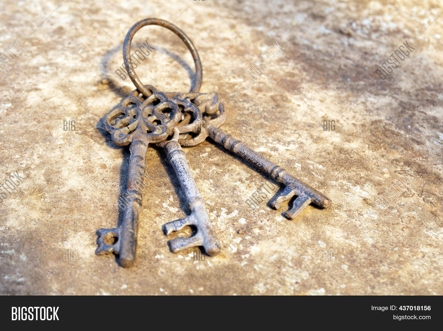 Old Rusty Key On Image & Photo (Free Trial) | Bigstock