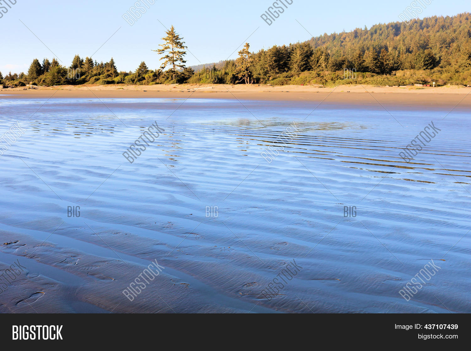Muddy Sand During Low Image & Photo (Free Trial) | Bigstock