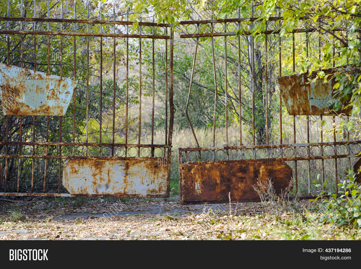 Old Rusty Iron Gate Image & Photo (Free Trial) | Bigstock Old Rusty Iron Gate Image & Photo (Free Trial) | Bigstock