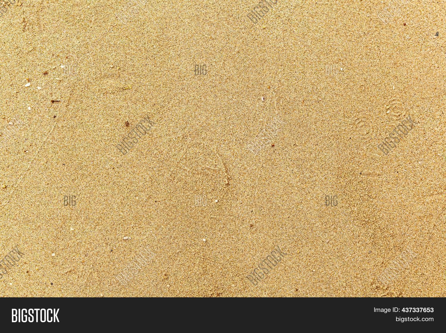 Sand Texture. Sandy Image & Photo (Free Trial) | Bigstock