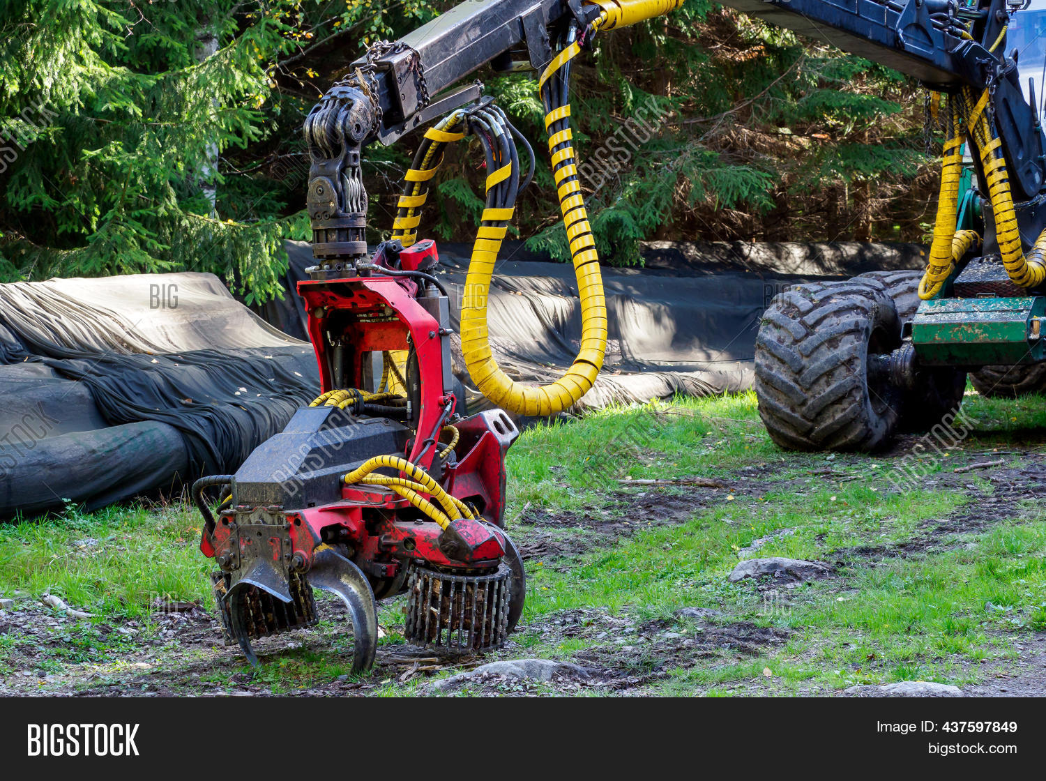 Harvester Forest. Image & Photo (Free Trial) | Bigstock
