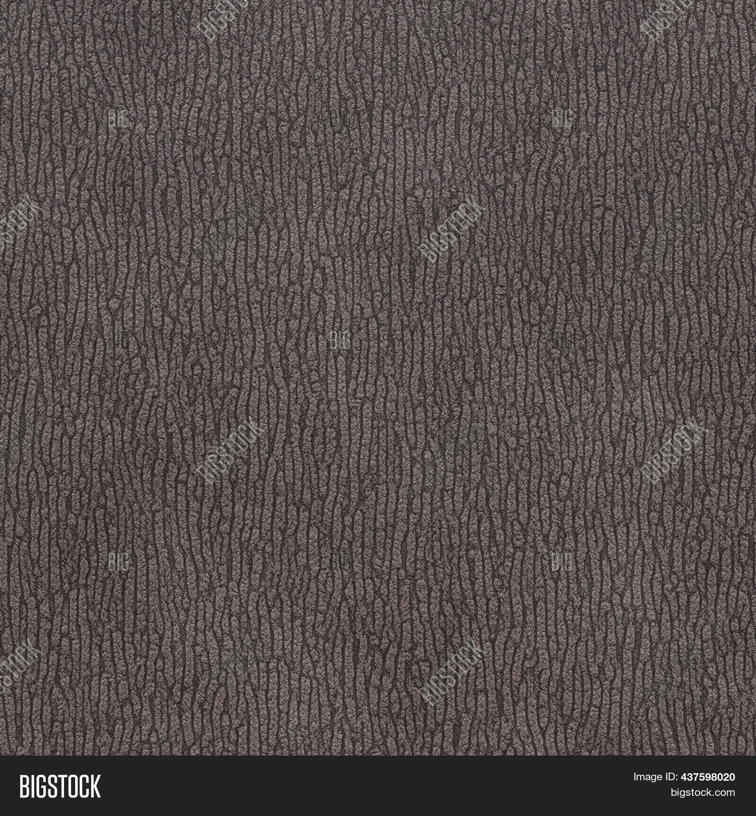 Genuine Shark 图片和照片（免费试用） | Bigstock