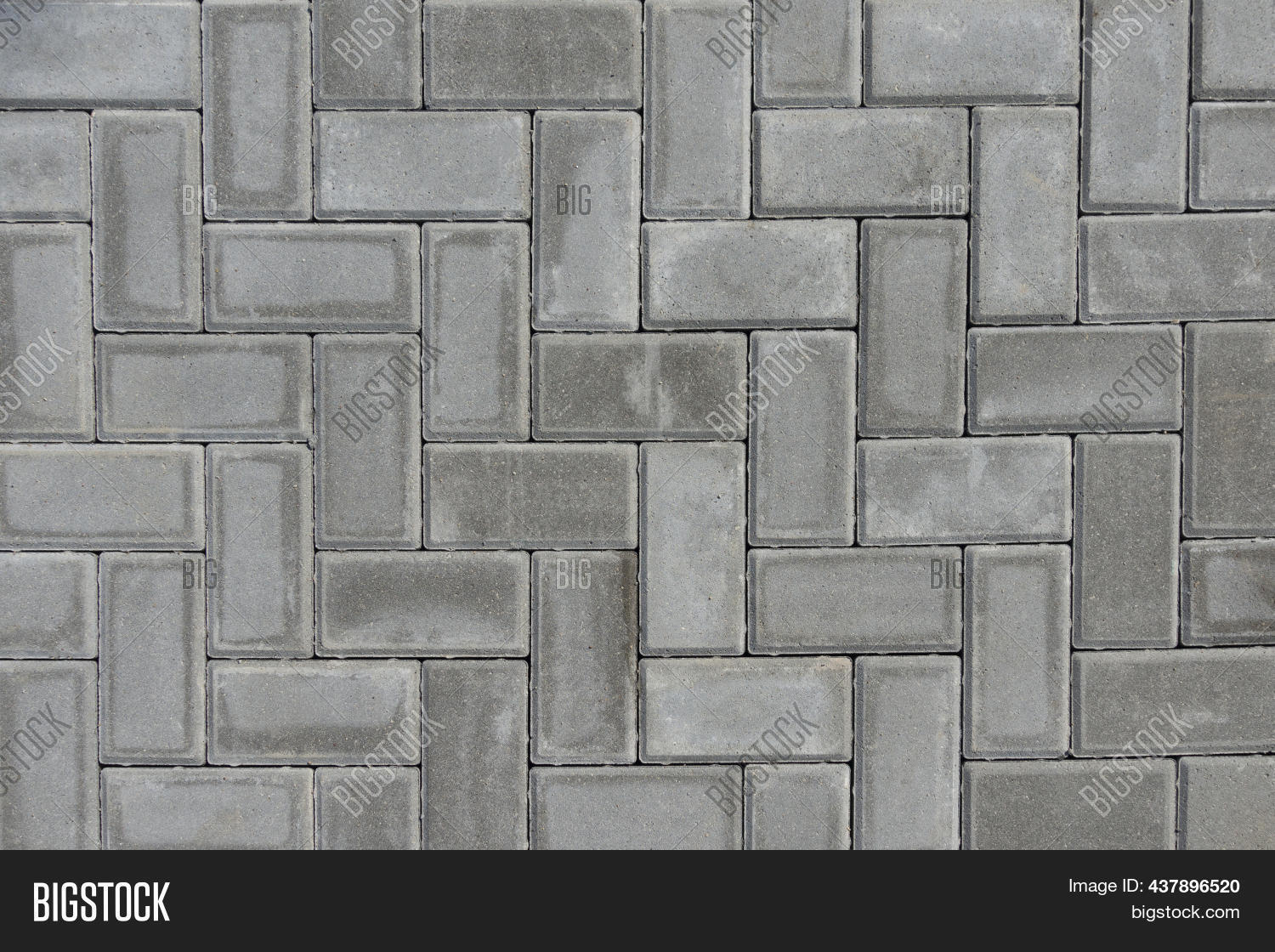 Gray Paving Slabs Image & Photo (Free Trial) | Bigstock