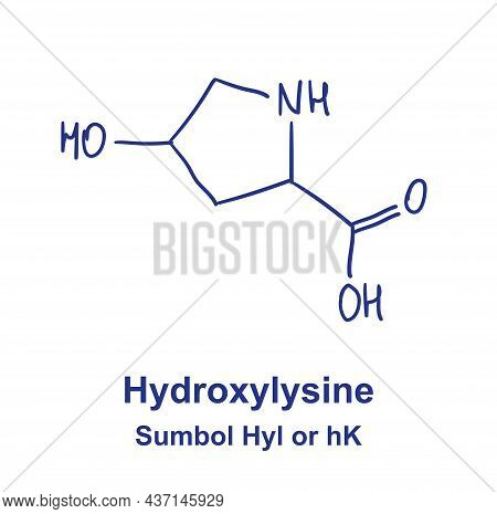 Hydroxylysine Vector & Photo (Free Trial) | Bigstock