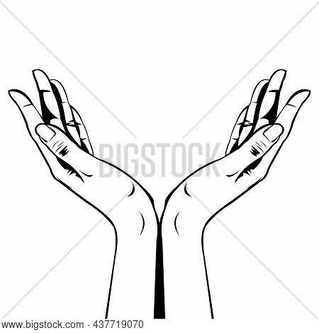 Female Hands. Open Vector & Photo (Free Trial) | Bigstock