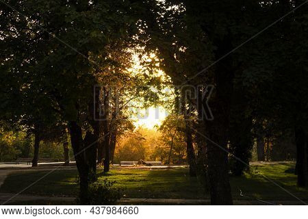 Sunset Coming Through Image & Photo (Free Trial) | Bigstock