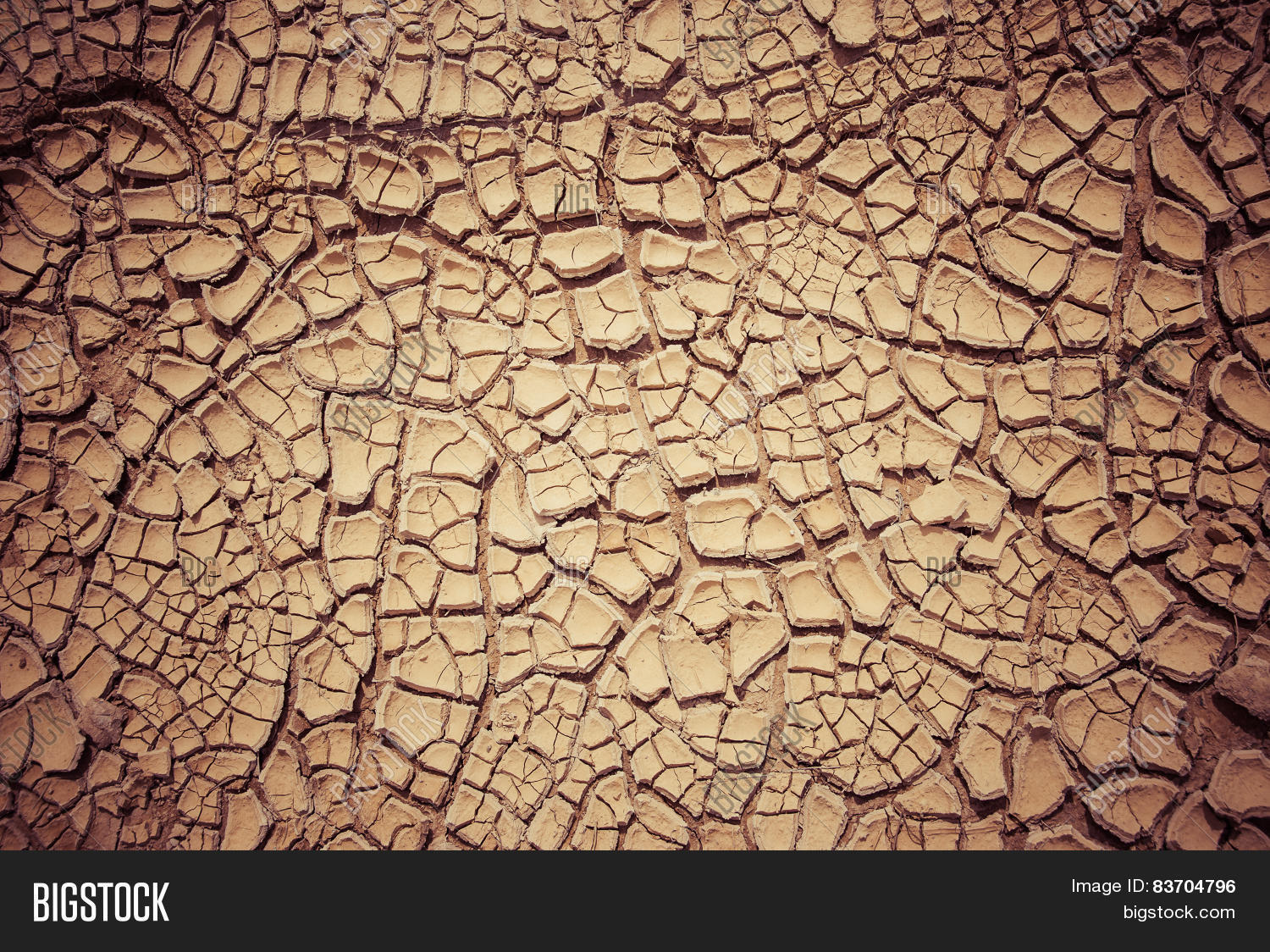 Texture Dry Mud Cracks Image & Photo (Free Trial) | Bigstock