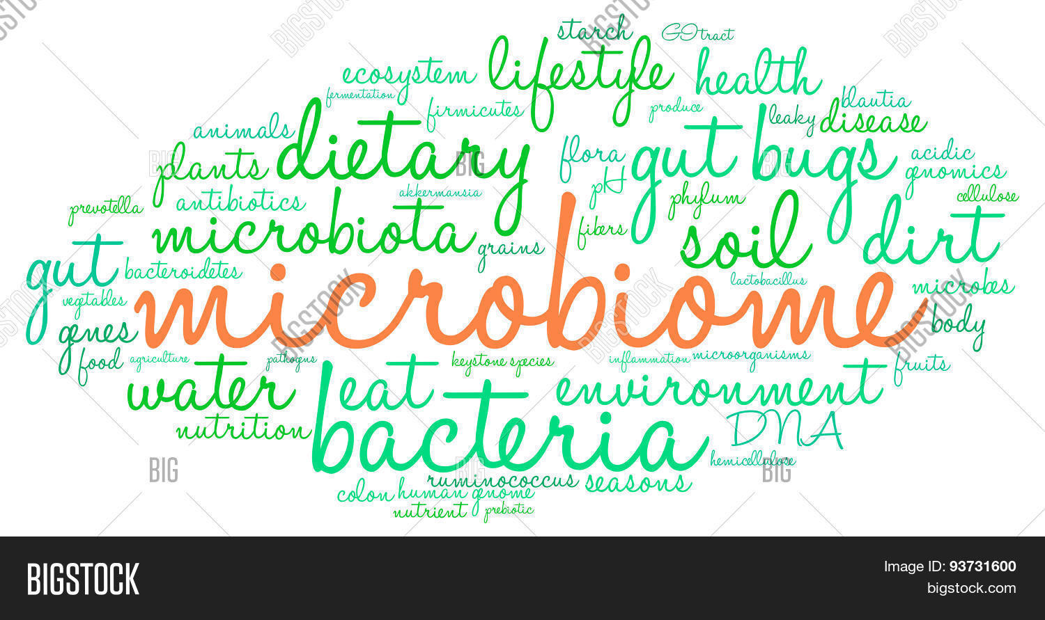 Microbiome Word Cloud Image & Photo (Free Trial) | Bigstock