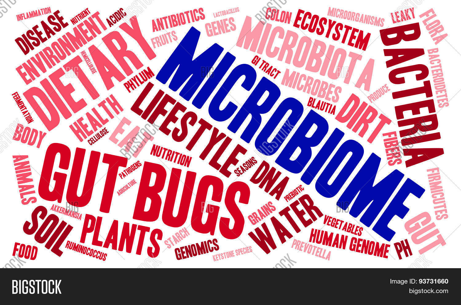 Microbiome Word Cloud Image & Photo (Free Trial) | Bigstock