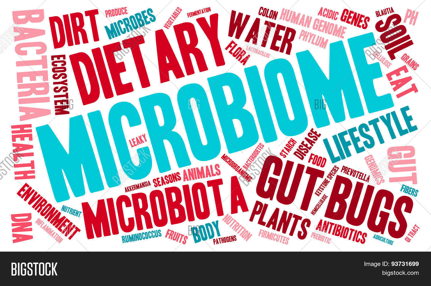 Microbiome Word Cloud Image & Photo (Free Trial) | Bigstock