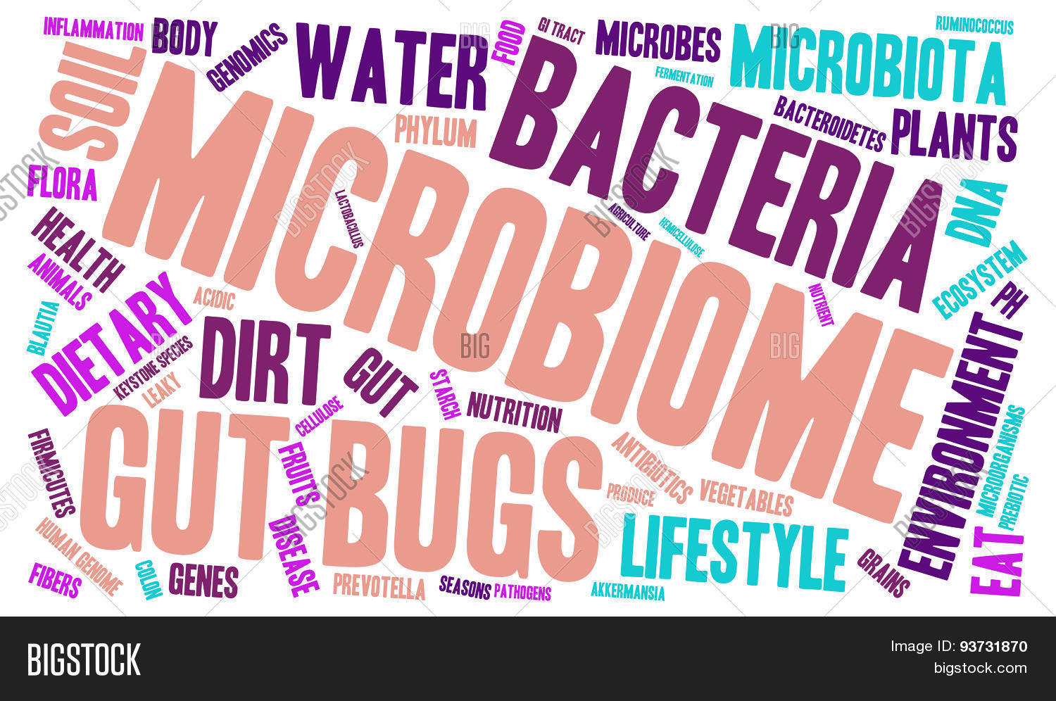 Microbiome Word Cloud Image & Photo (Free Trial) | Bigstock