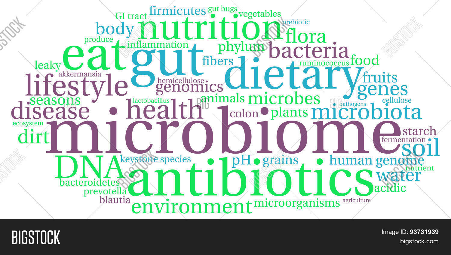 Microbiome Word Cloud Image & Photo (Free Trial) | Bigstock