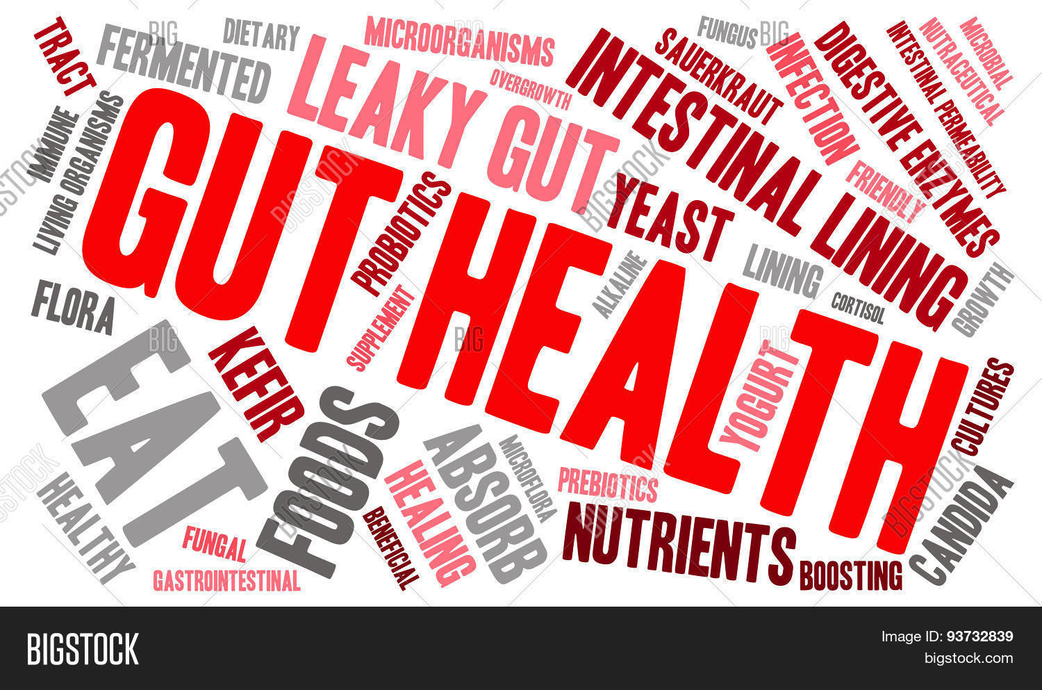 Gut Health Word Cloud Image & Photo (Free Trial) | Bigstock