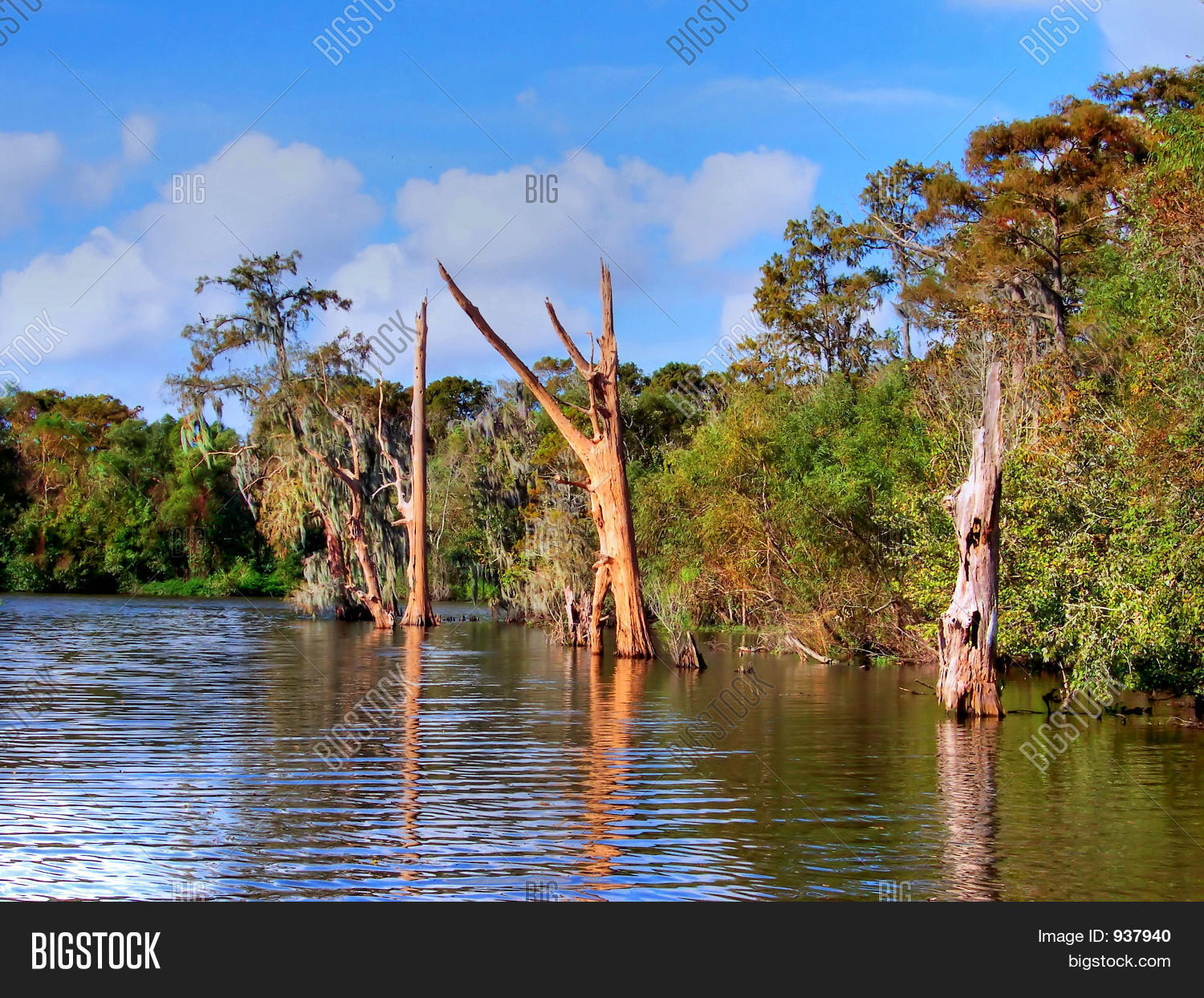 Louisiana Landscape Image & Photo (Free Trial) | Bigstock
