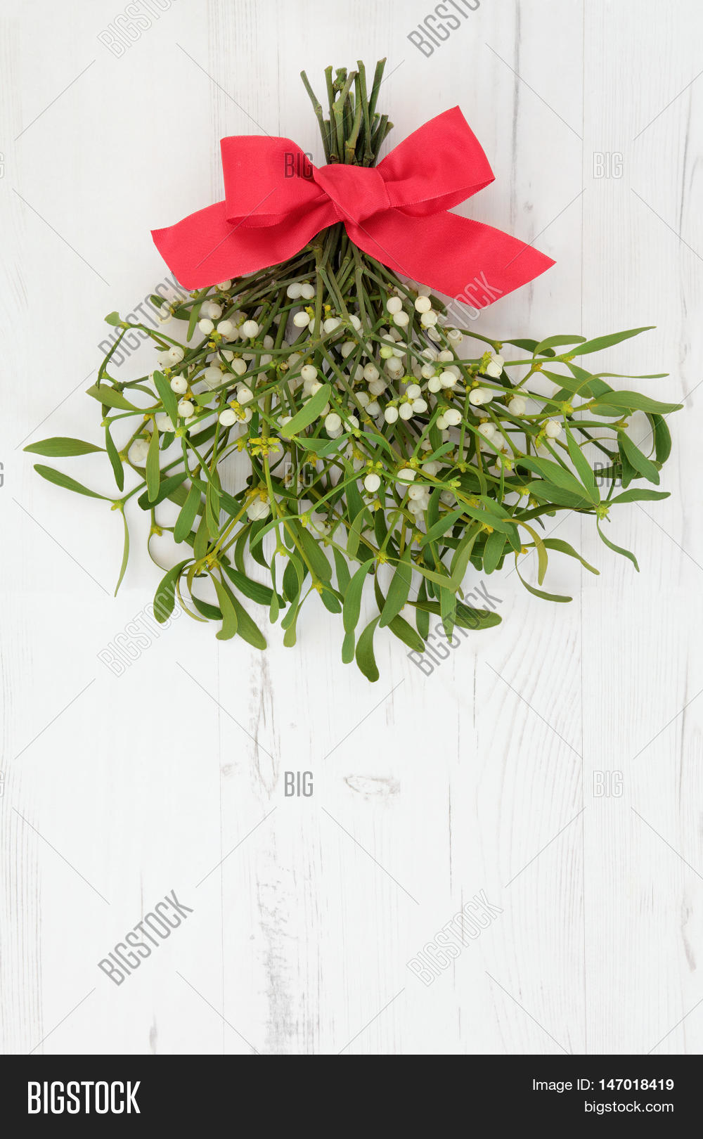 Christmas Mistletoe Image & Photo (Free Trial) | Bigstock
