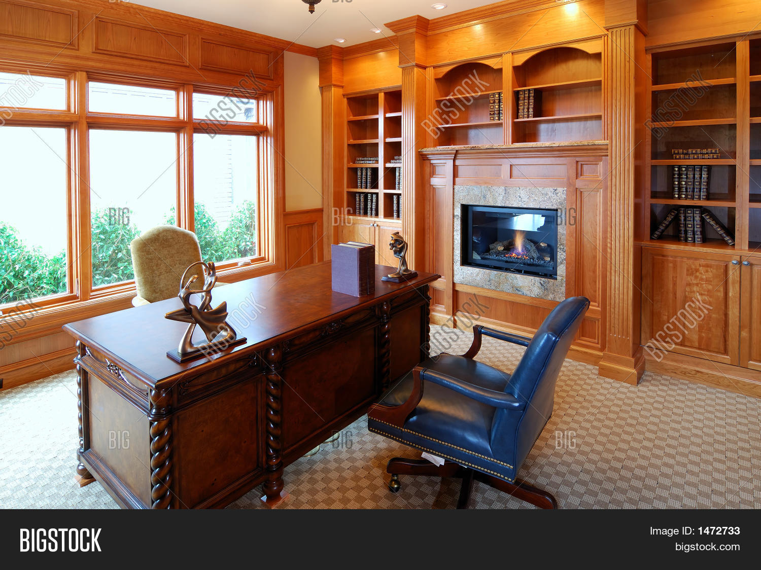 Big Study Image & Photo (Free Trial) | Bigstock