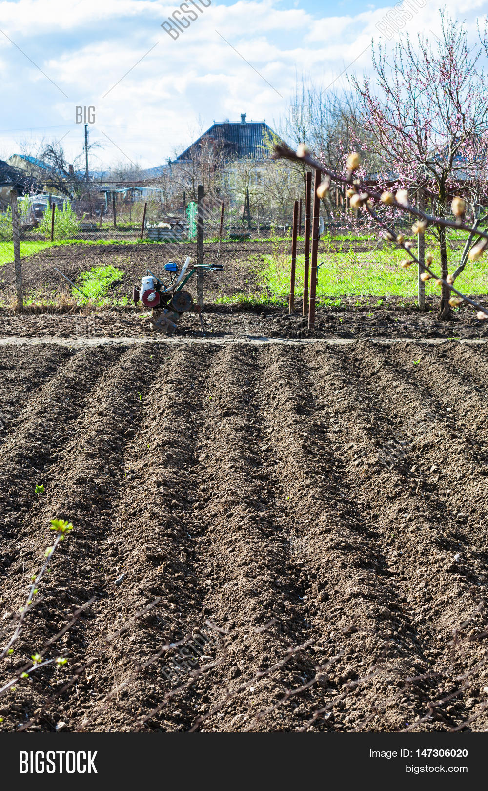 Plowed Garden Seed Image & Photo (Free Trial) | Bigstock