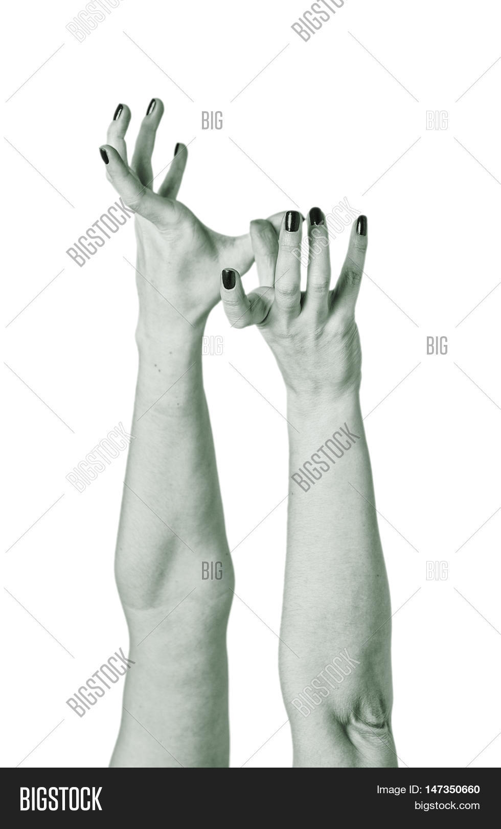 Zombie Woman Hands Image & Photo (Free Trial) | Bigstock