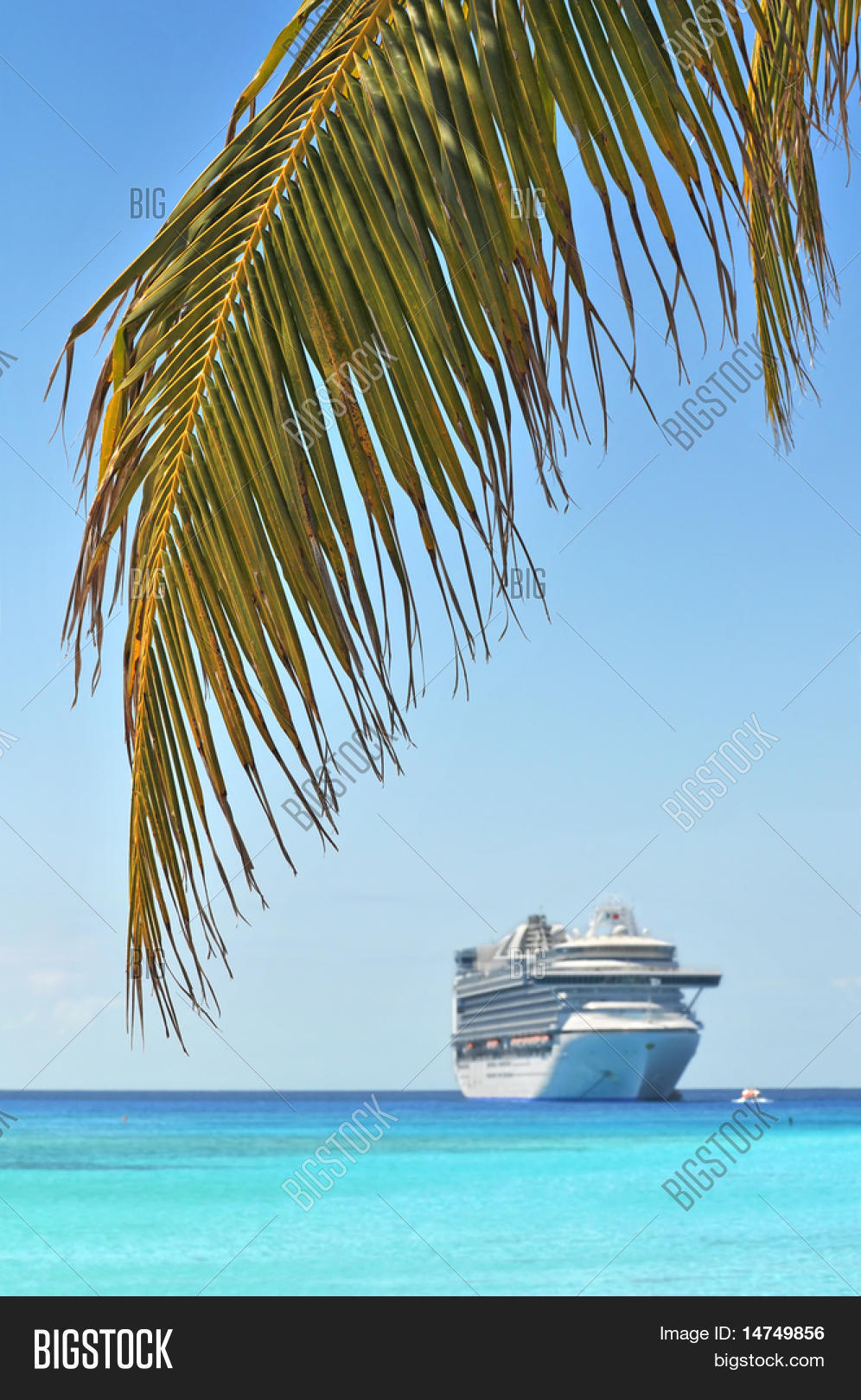 Palm Tree Cruise Ship Image & Photo (Free Trial) | Bigstock