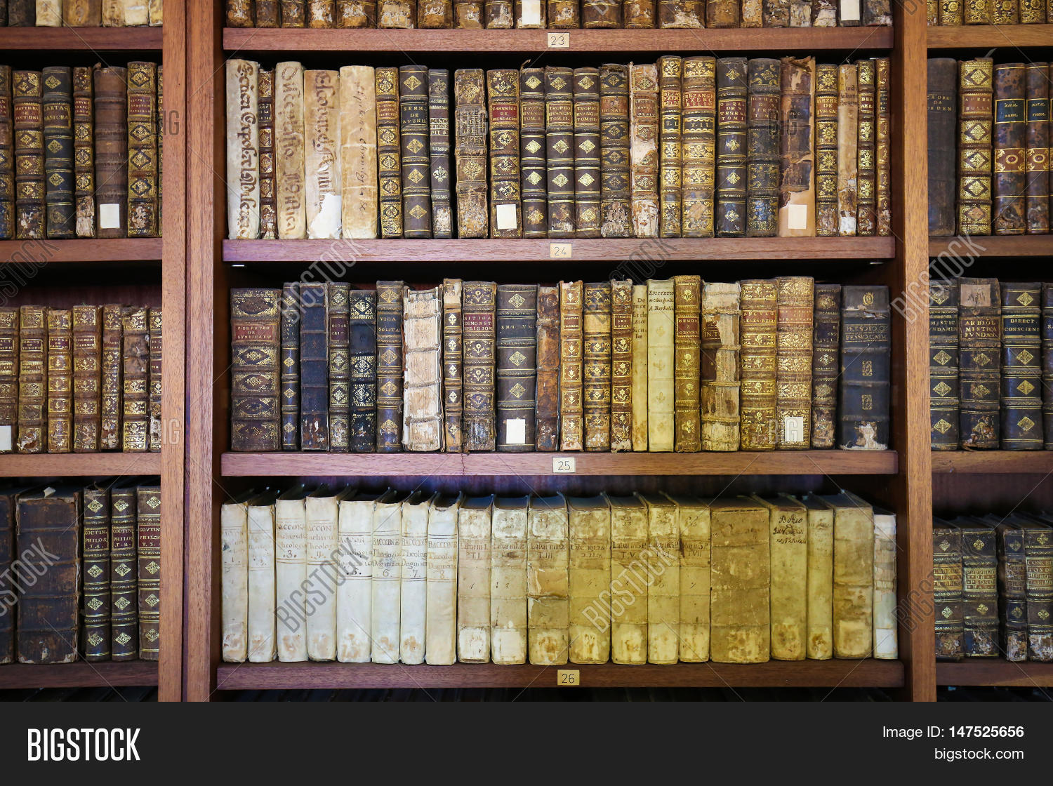 Old Books Library Image & Photo (Free Trial) | Bigstock