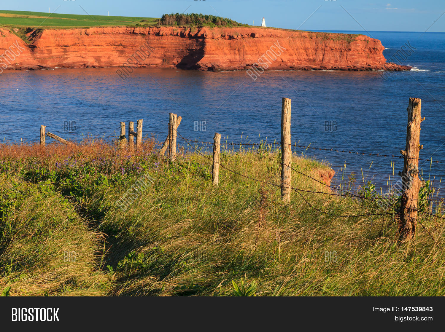 Cliffs On North Shore Image & Photo (Free Trial) | Bigstock