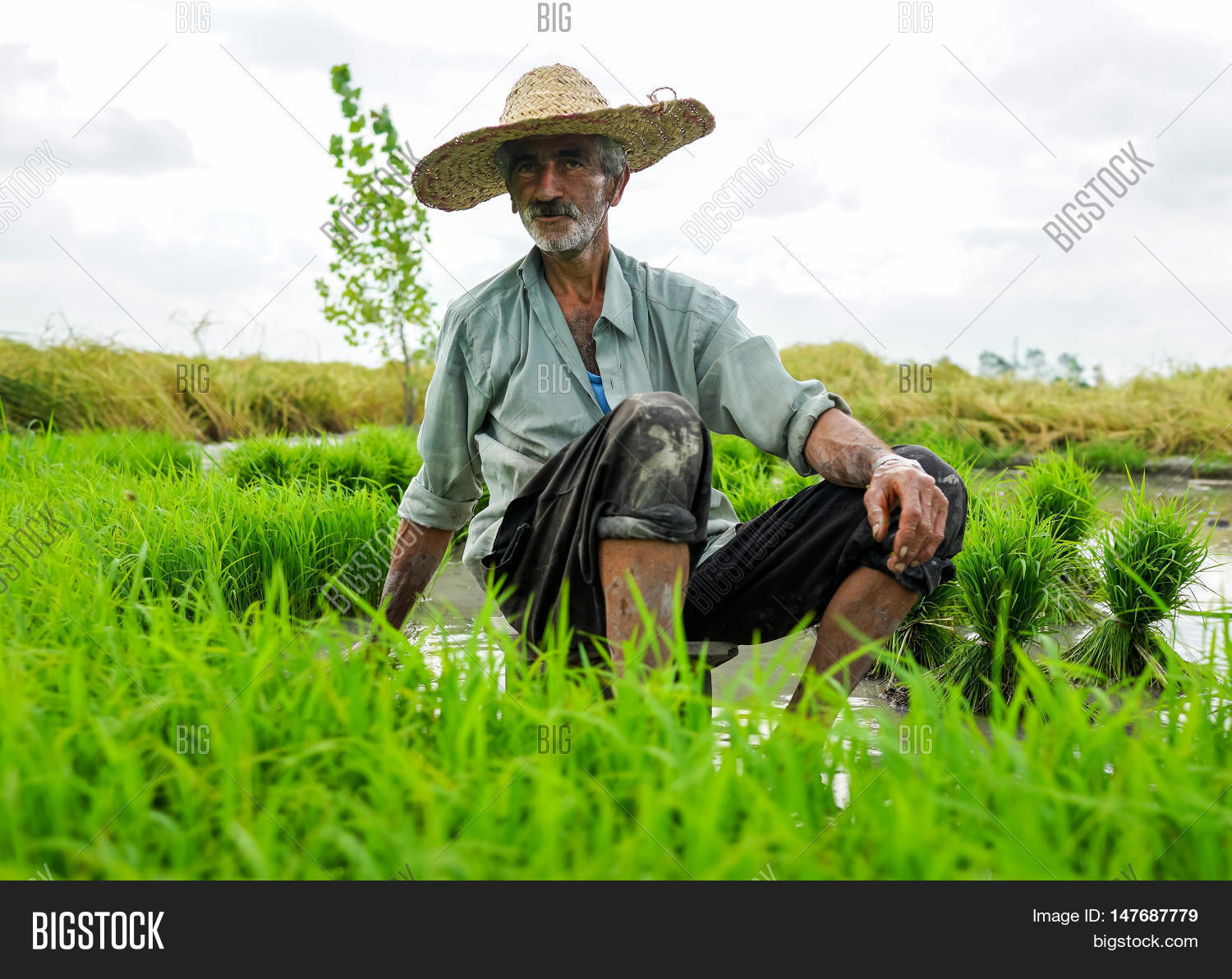 Old Farmer Working On Image & Photo (Free Trial) | Bigstock