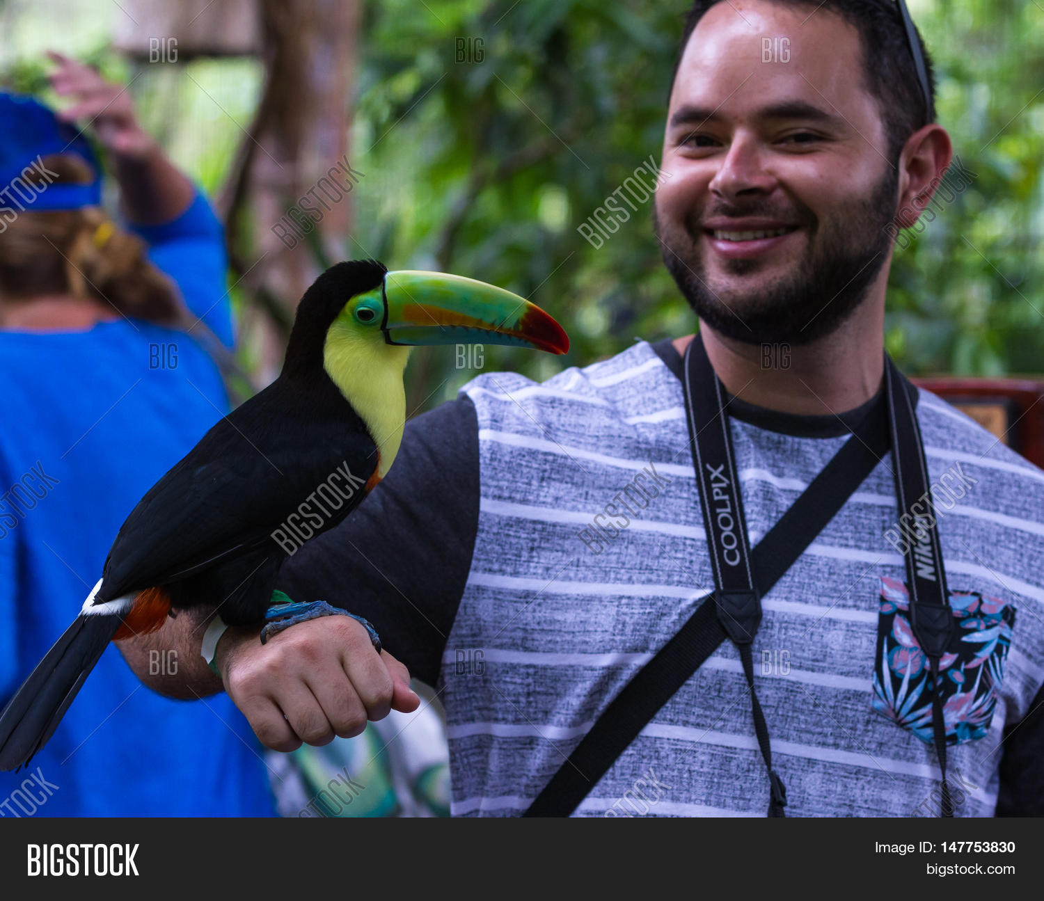 Keel Billed Toucan - Image & Photo (Free Trial) | Bigstock