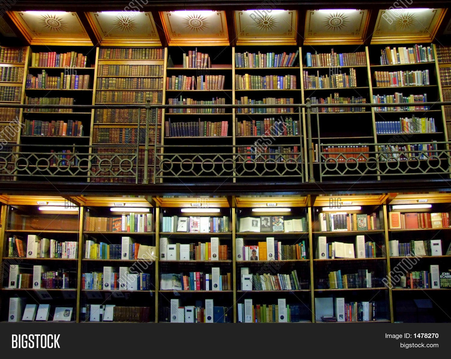 Big Library Image & Photo (Free Trial) | Bigstock