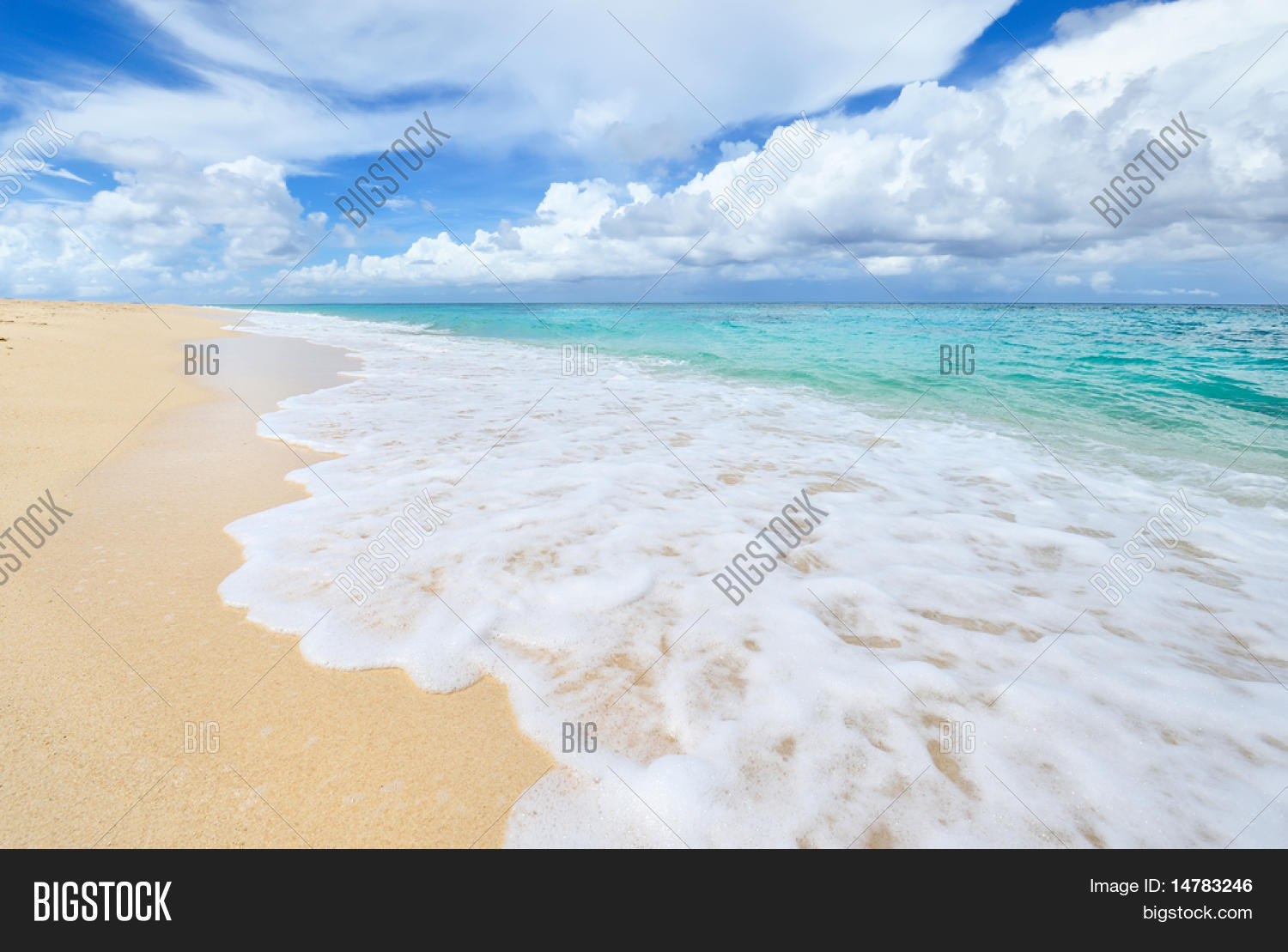 Beautiful Wild Beach Image & Photo (Free Trial) | Bigstock