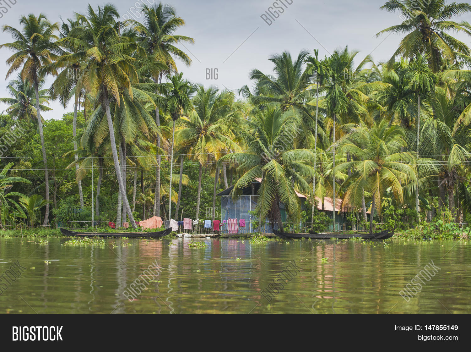 ALLEPPEY KERALA INDIA Image & Photo (Free Trial) | Bigstock