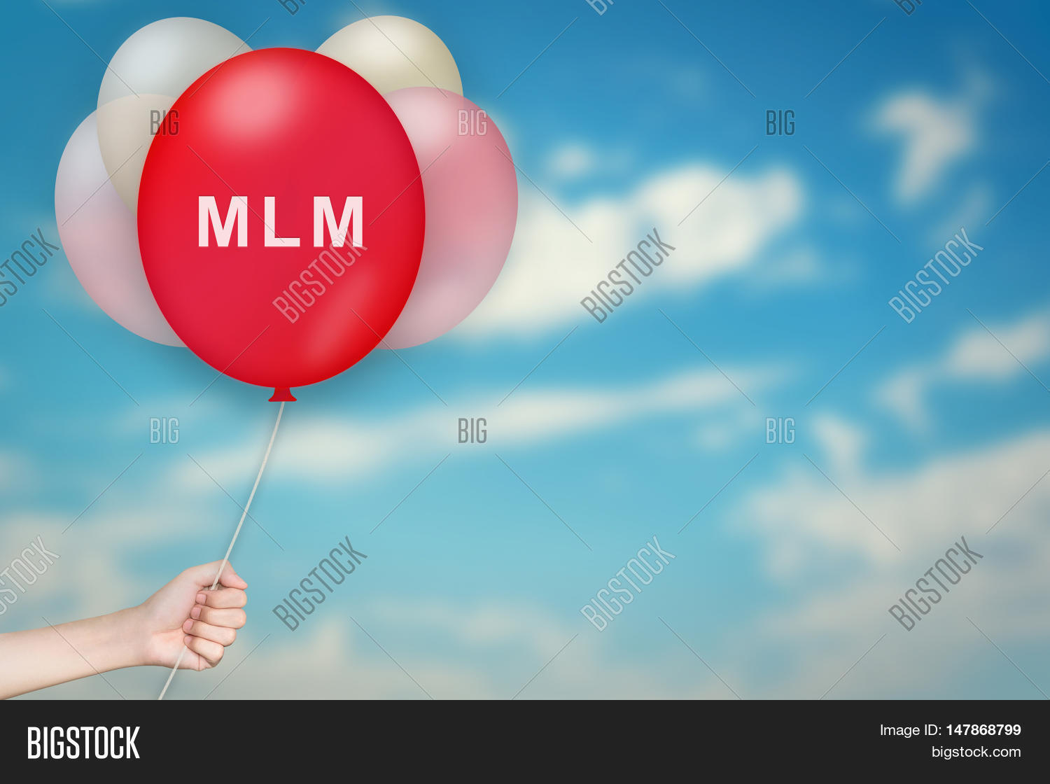 Hand Holding MLM Multi Image & Photo (Free Trial) | Bigstock
