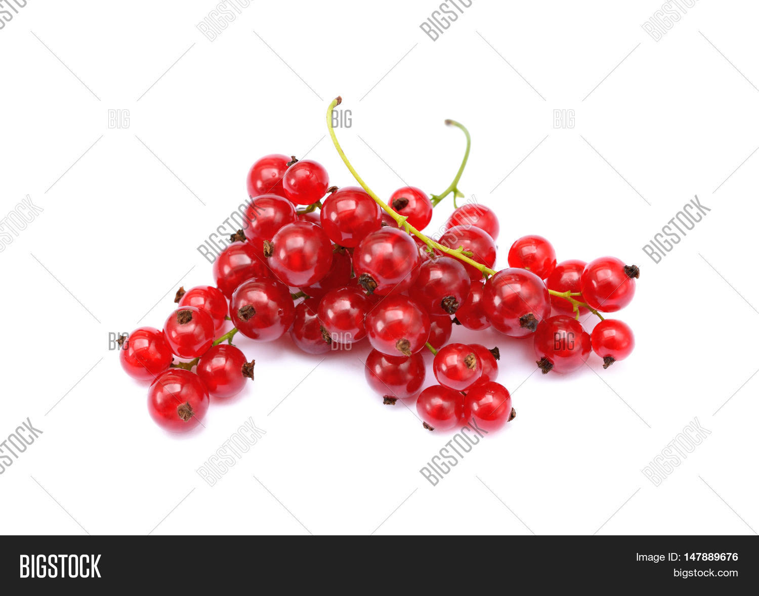 Fresh Red Currant Image & Photo (Free Trial) | Bigstock