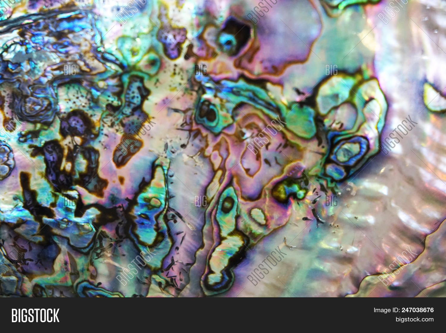 Natural Pearl Texture Image & Photo (Free Trial) | Bigstock